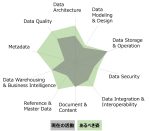 データマネジメント成熟度モデル （DMM） : データマネジメント用語解説7 | Metafindコンサルティング
